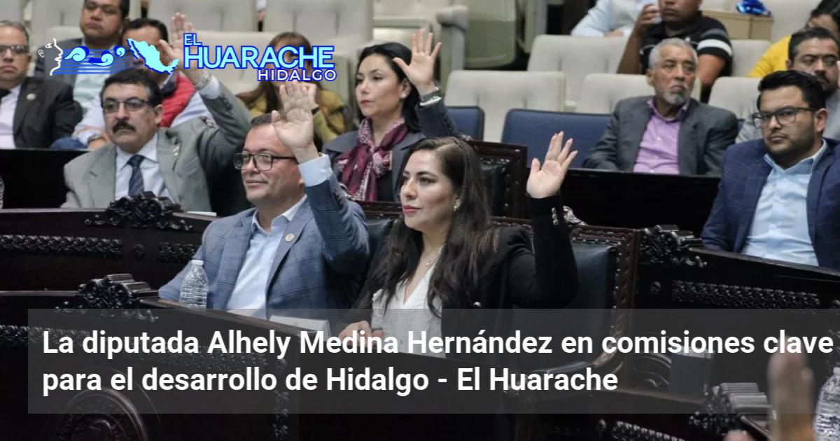 La diputada Alhely Medina Hernández en comisiones clave para el ...