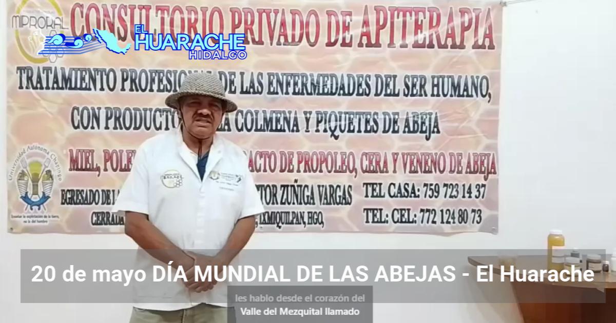 20 de mayo DÍA MUNDIAL DE LAS ABEJAS - El Huarache